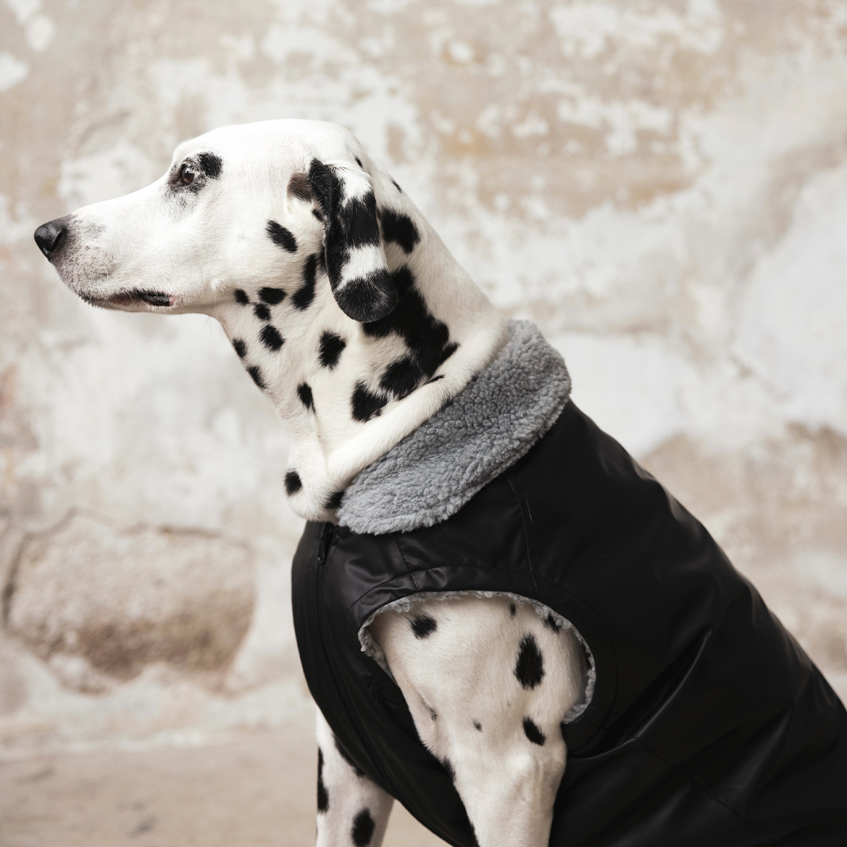 MB: "B//W" Capsule Collection – Mons Bons